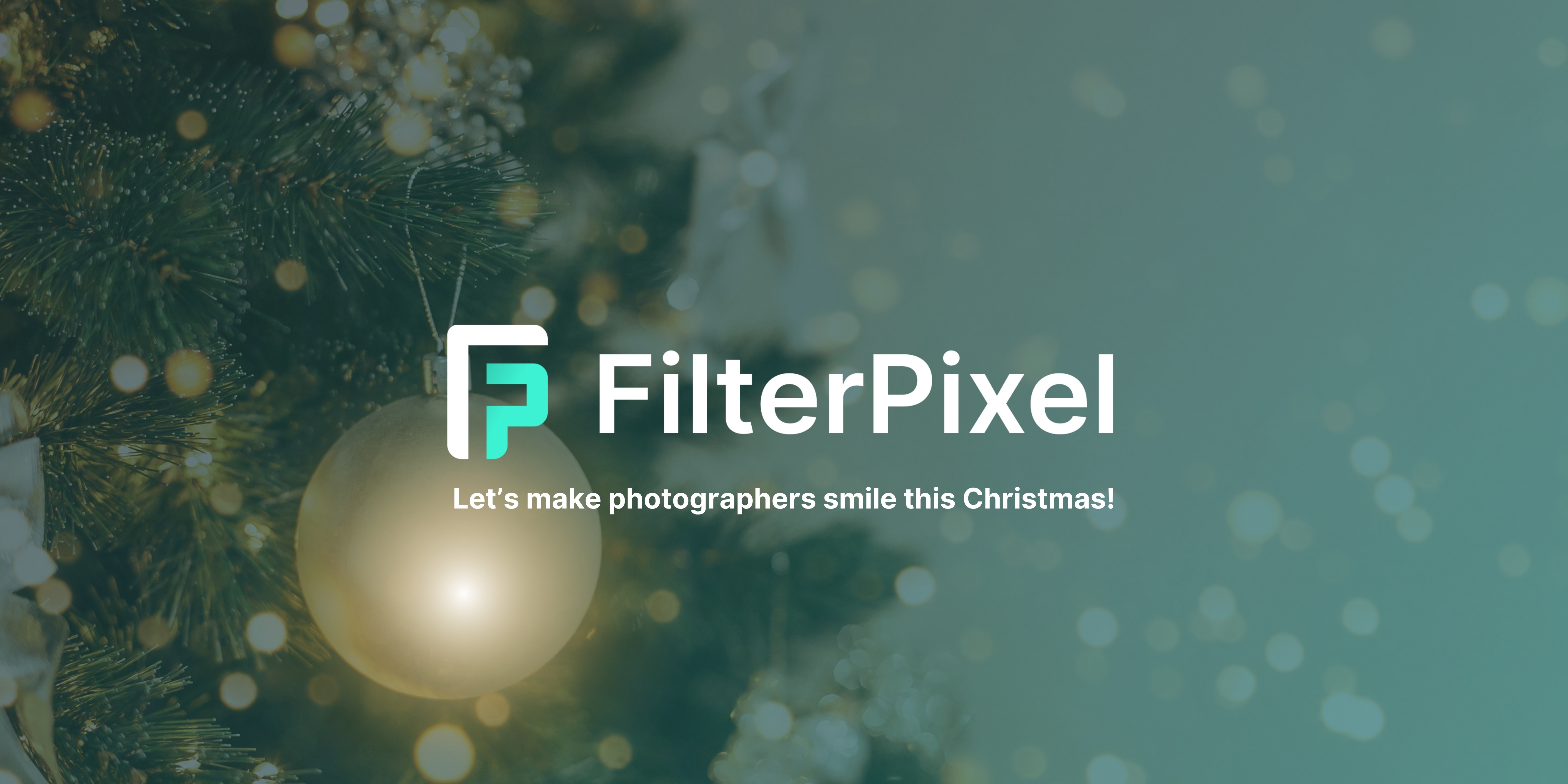 #1 AI Photo Culling & Editing Software for Windows & Mac | FilterPixel